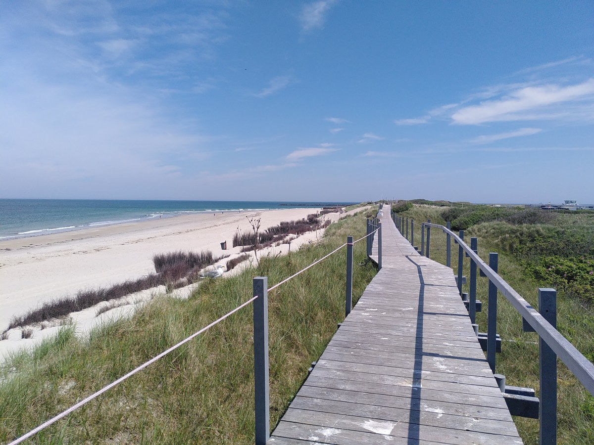 About FOMO-free summer breaks, wholeness and vulnerability – Bye-bye ...